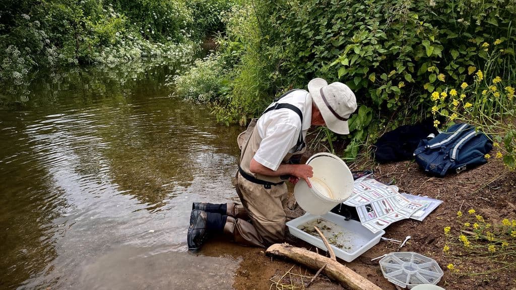 River Chew faces 'ecological crisis', volunteers lead the fight for ...